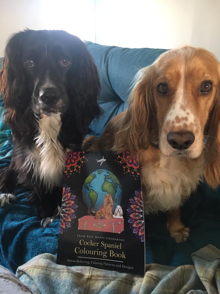 Cocker Spaniel Coloring Book for Adults and Kids 10+